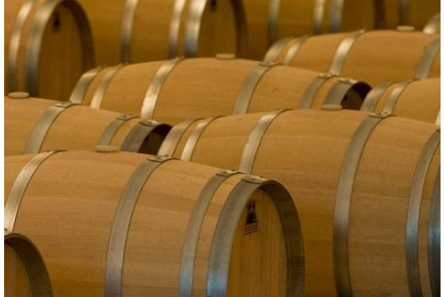 Visita a bodegas Pinord, degustación y comida, Vilafranca del Penedès