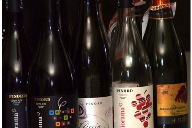 Visita a bodegas Pinord, degustación y comida, Vilafranca del Penedès