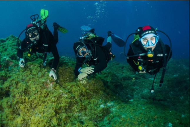 Bautismo de buceo en Lanzarote ¡No te lo pierdas! | Aladinia