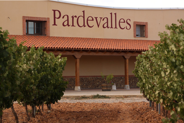 Visita a la Bodega Pardevalles en Valdevimbre ¡Con Cata!