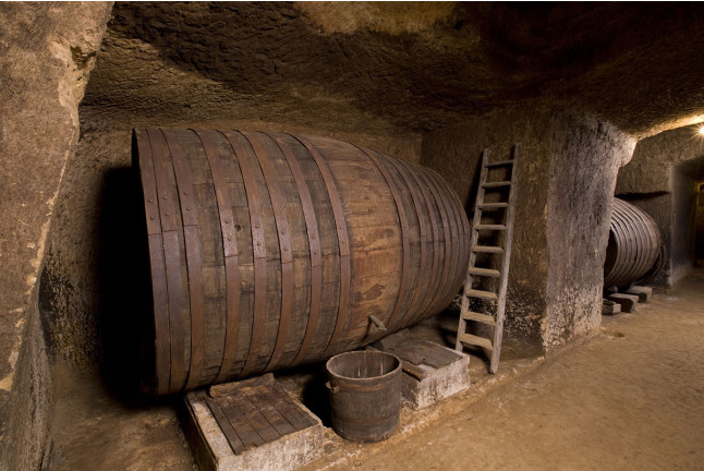 Visita a la Bodega Pardevalles en Valdevimbre ¡Con Cata!