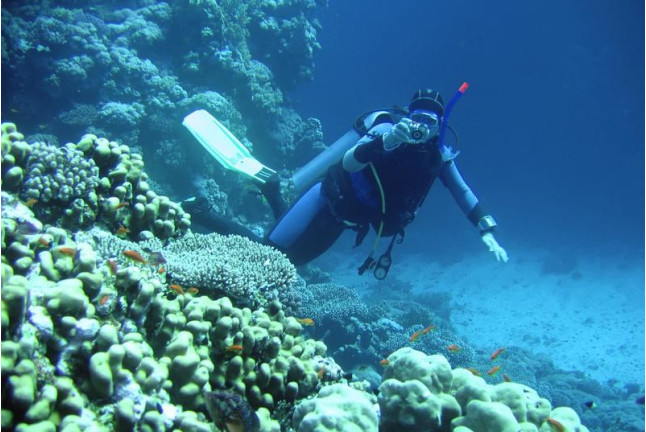 Bautismo de Buceo en Fuengirola, Málaga ¡Disfrútalo!