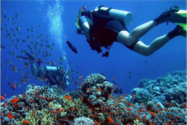 Bautismo de Buceo en Fuengirola, Málaga ¡Disfrútalo!