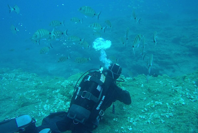 Bautismo de Buceo en Hondarribia ¡Te sorprenderá! | Aladinia