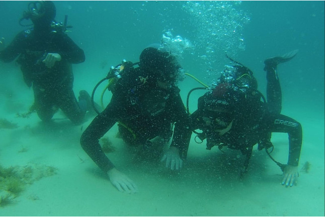 Buceo en Tarifa, Cádiz ¡Aprende a bucear! | Aladinia