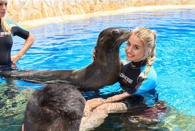 Delfines, leones marinos y mucho más ¡en Mundomar! | Aladinia