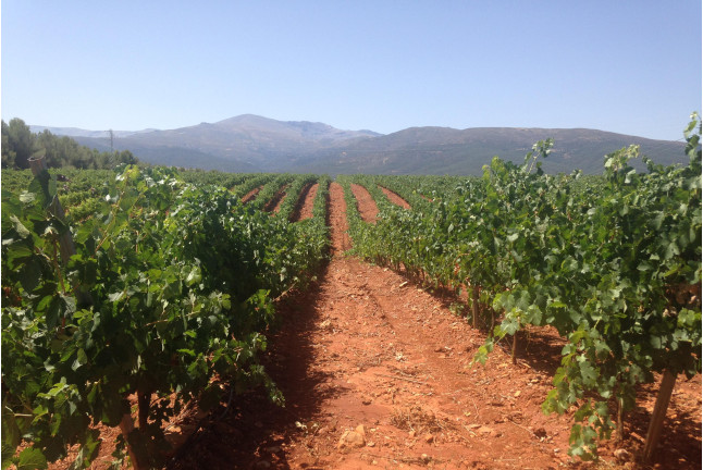 Escapada con spa y visita a bodega en Granada ¡Reservad ya!