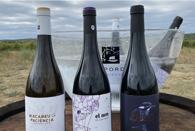 Visita a Masetplana de Garriguella ¡Disfrutad! | Aladinia