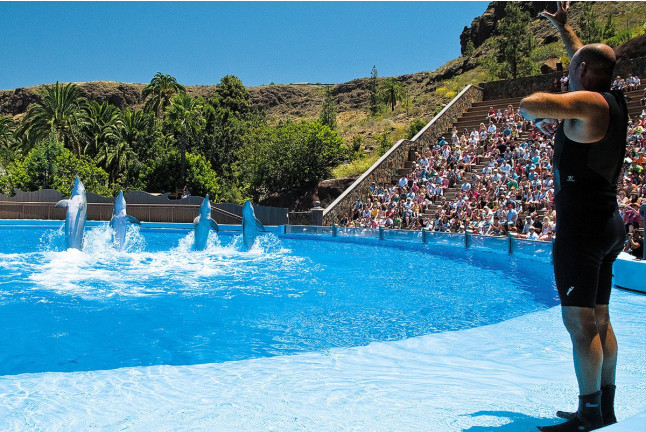 Entrada a Palmitos Park ¡Diviértete! | Aladinia