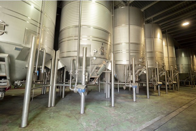 Visita a Vinícola de Arganda ¡Catad sus 3 mejores vinos!