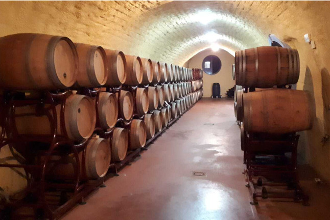 Visita a Bodega Pago de Almaraes ¡Aromas de Granada! | Aladinia