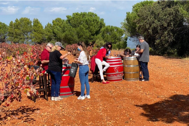Visita a bodega Vega Tolosa y cata de vinos | Aladinia