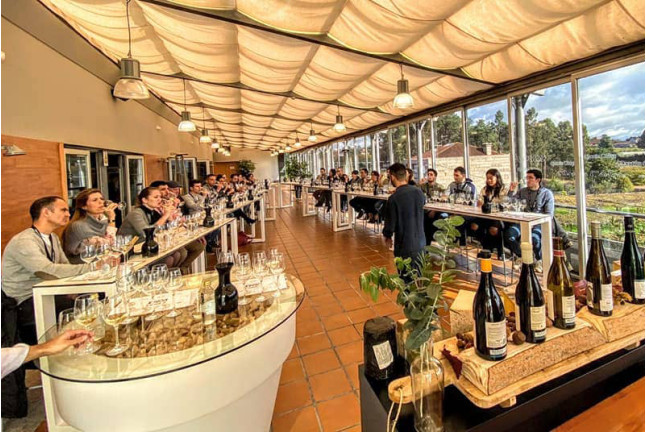 Visita a Bodegas Martín Códax ¡Con cata de vinos! | Aladinia