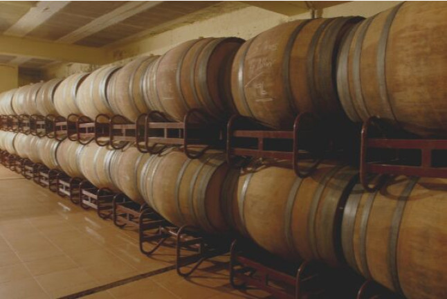 Visita con comida en Celler Grau i Grau de Barcelona | Aladinia