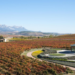 BODEGAS VIVANCO. ¡Vive una experiencia enológica en Briones!