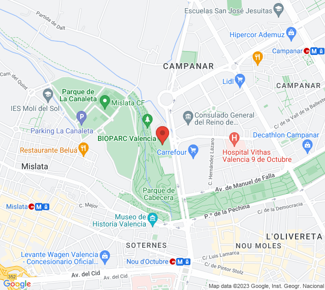 Bioparc Valencia ¡Descubre uno de los mejores zoos del mundo!