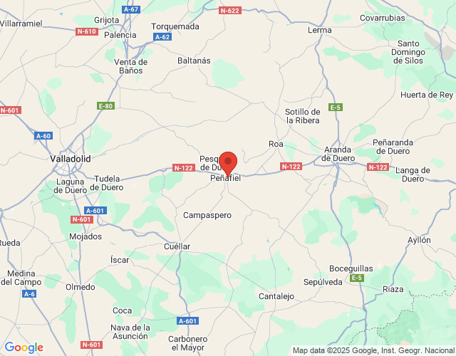 Visita a las Bodegas Protos ¡Amarás los vinos de calidad!